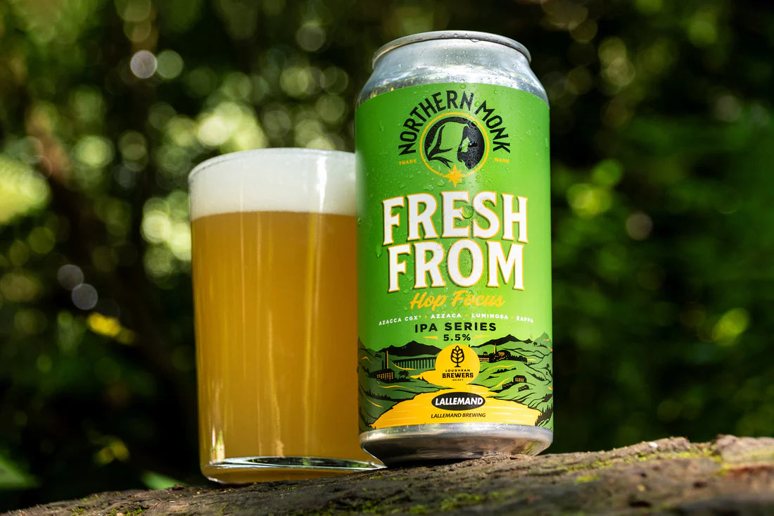 Fresh From Hop Focus - Northern Monk - Azacca, Luminosa & Zappa IPA, 5 ...